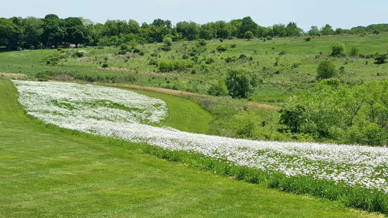 Green Burials | The Catholic Cemeteries Association Pittsburgh The ...
