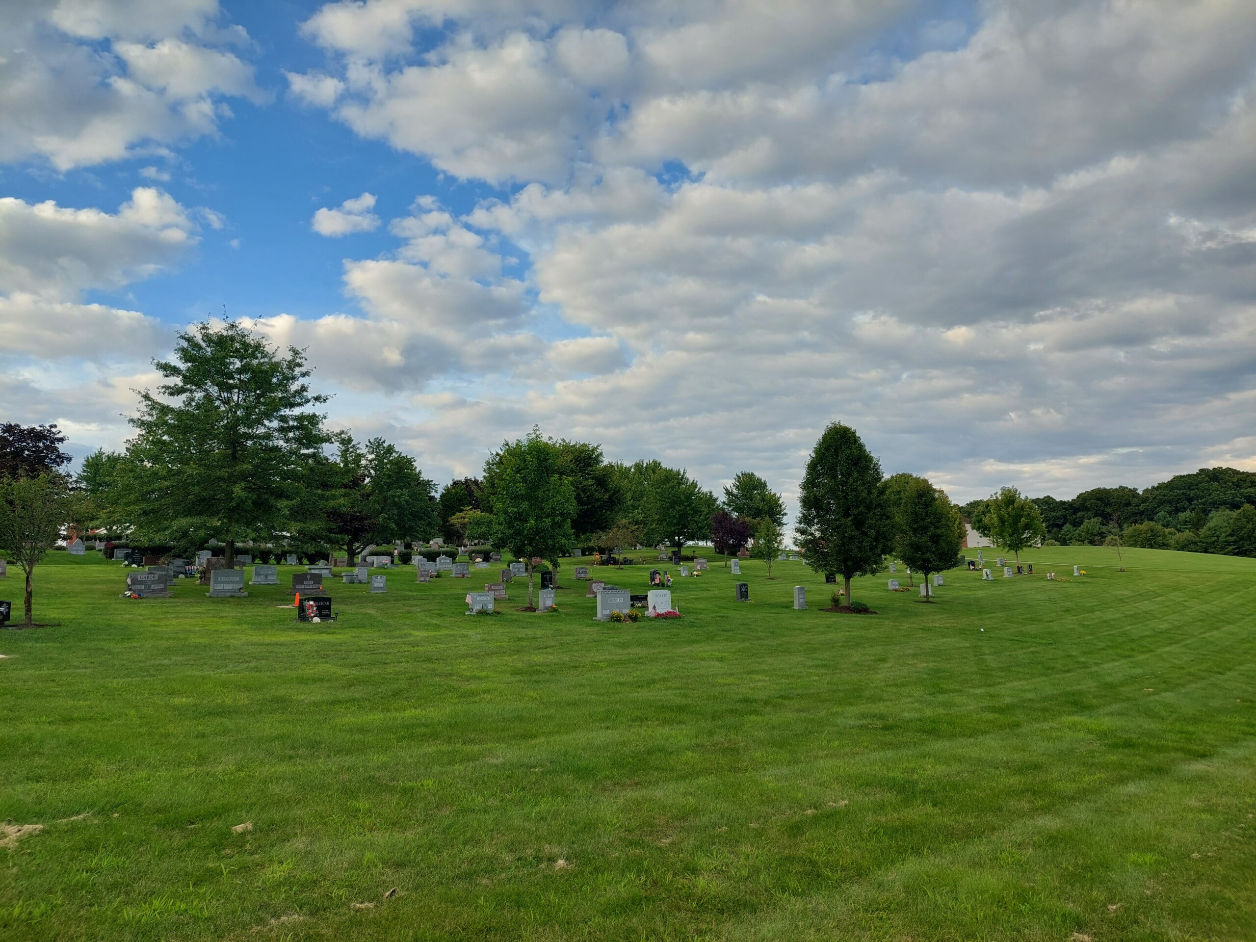Holy Savior Catholic Cemetery | Catholic Cemeteries Association The ...