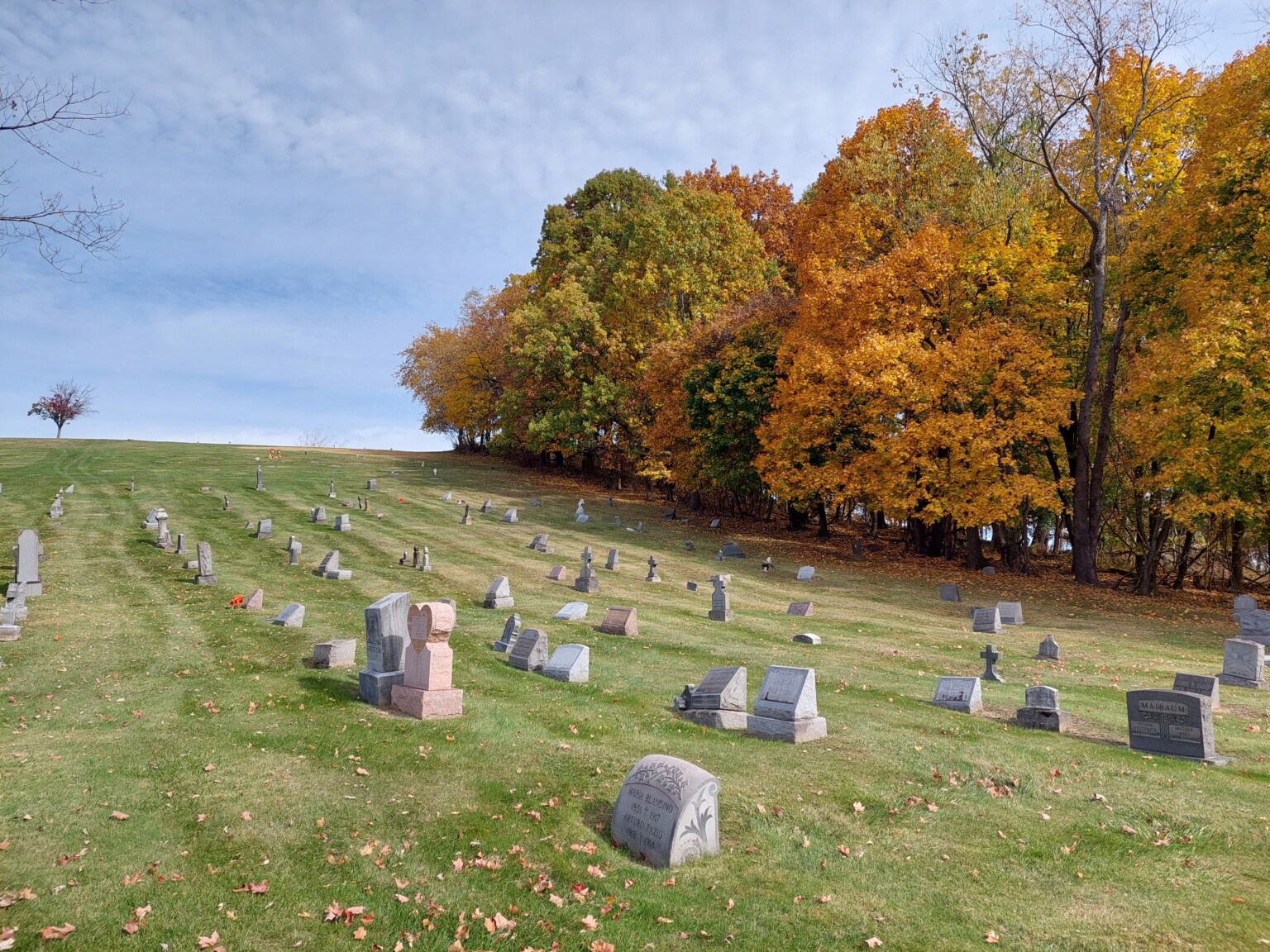 Christ Our Redeemer Cemetery | Catholic Cemeteries Association The ...