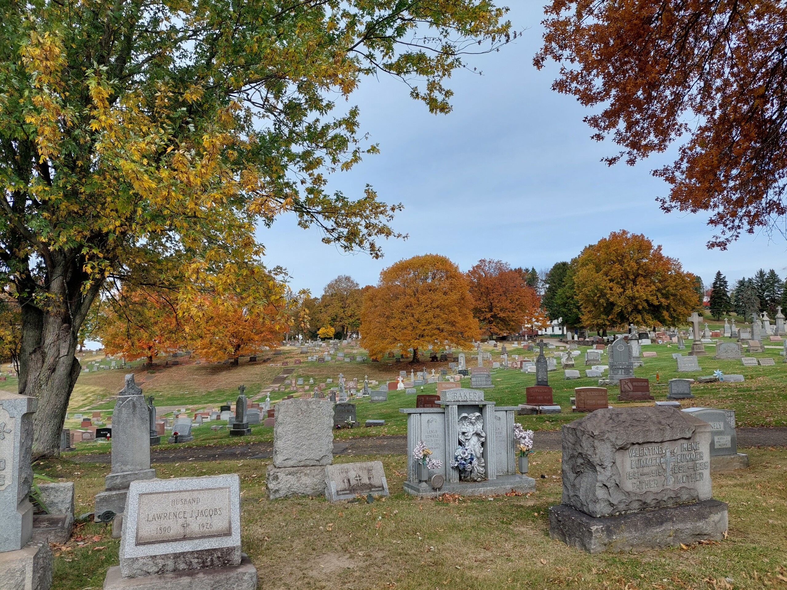 St.Stanislaus/St. Anthony Catholic Cemetery The Catholic Cemeteries ...
